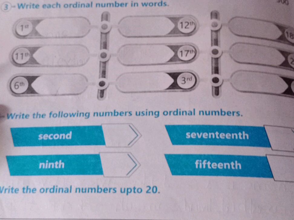 3- Write each ordinal number in words. 1st | StudyX