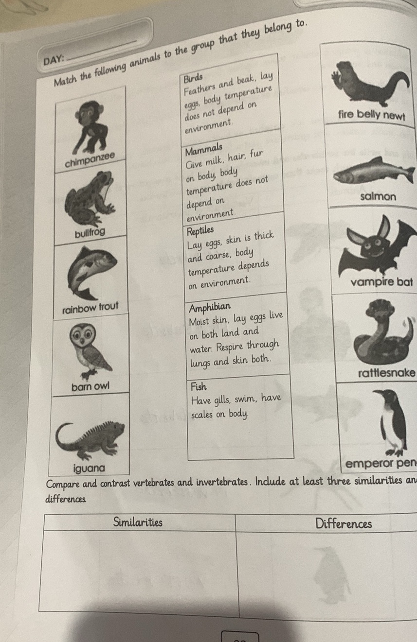 Match the following animals to the group | StudyX