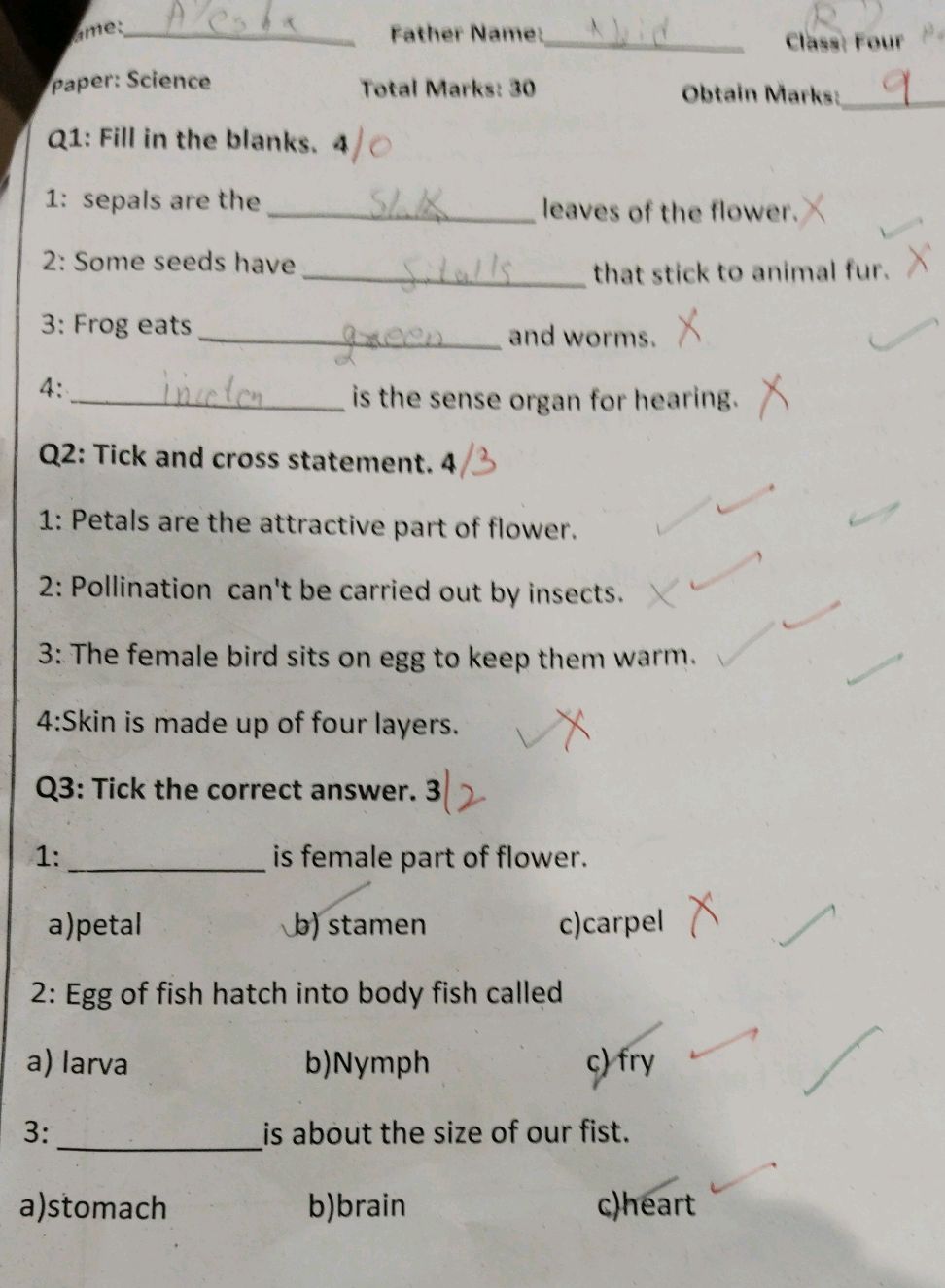Q1: Fill in the blanks. 4/0 1: sepals are | StudyX