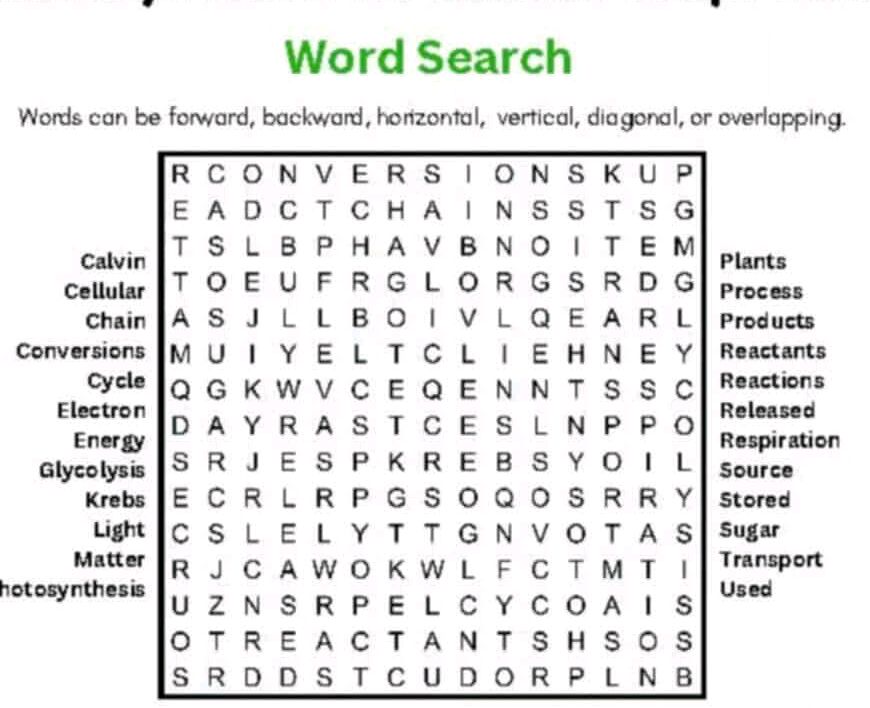 Word Search Words can be forward, backward, | StudyX
