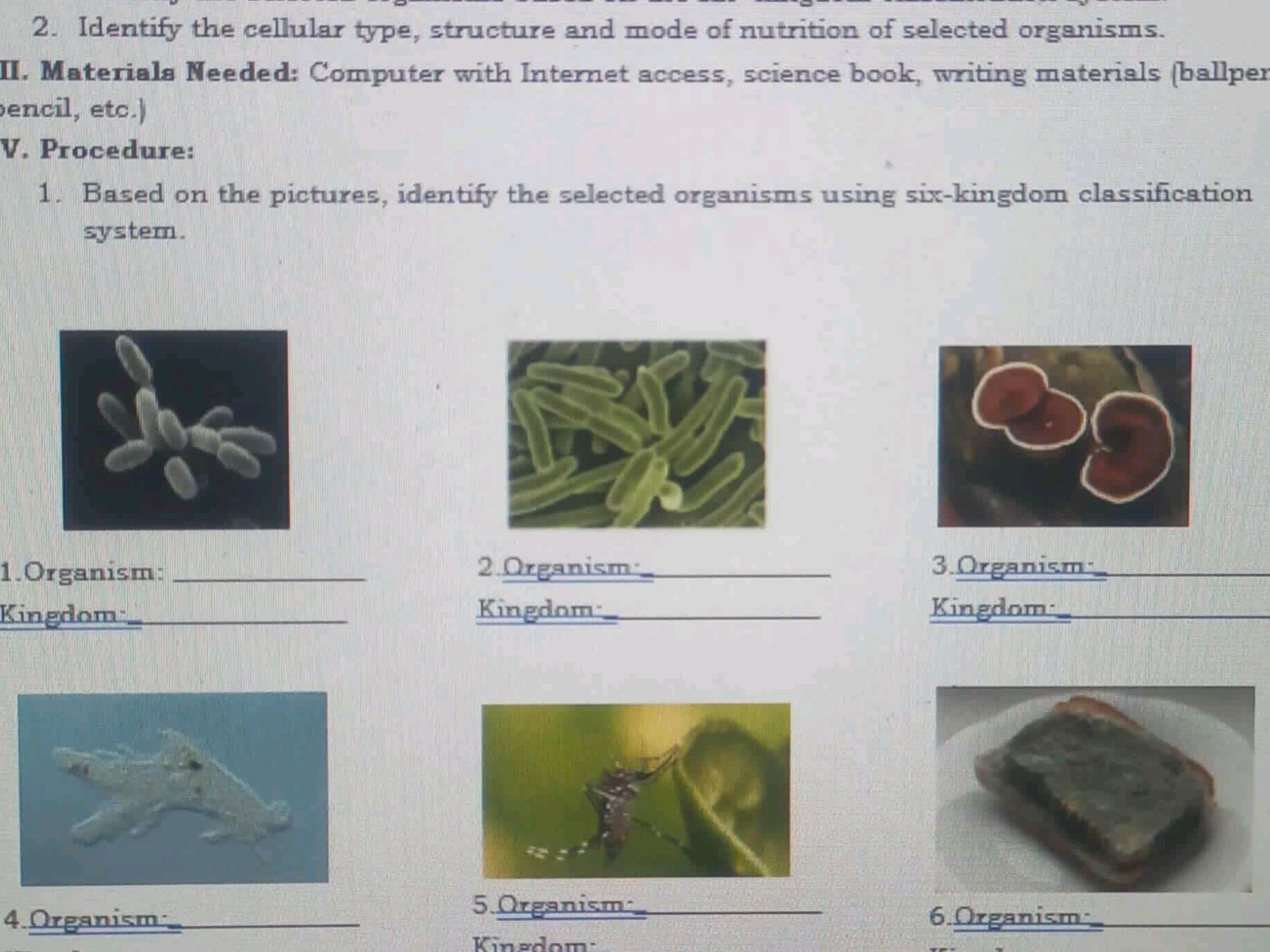 2. Identify the cellular type, structure and | StudyX
