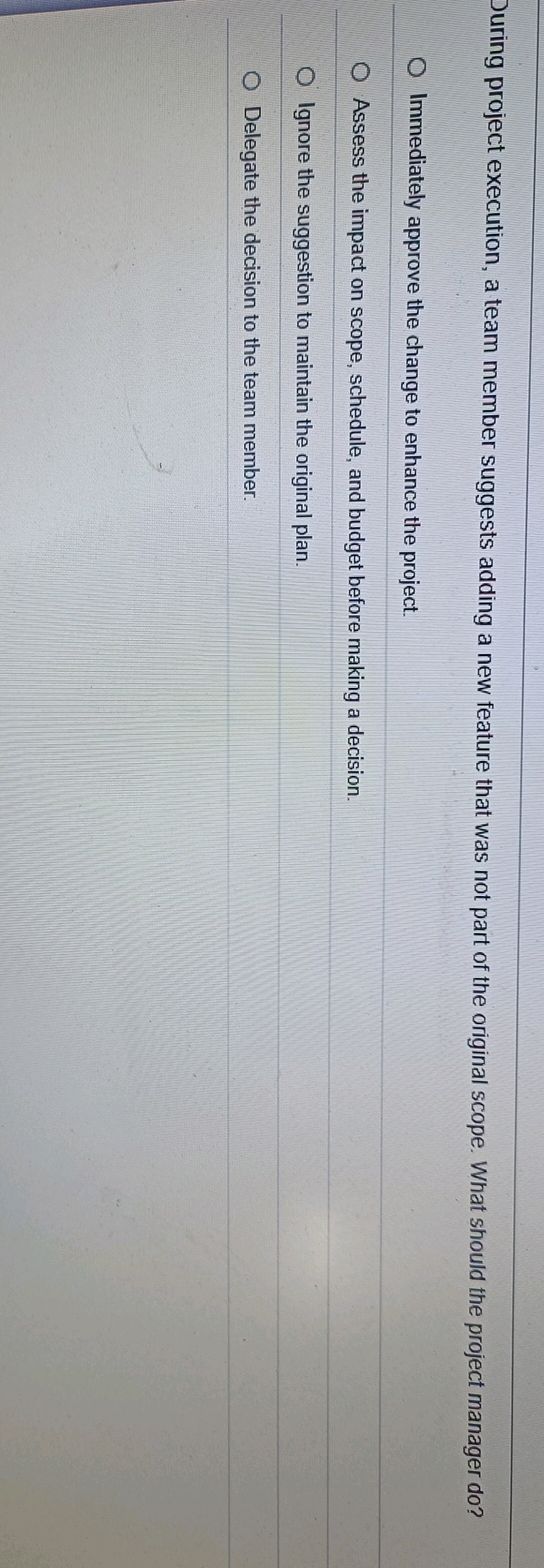 During project execution, a team member | StudyX