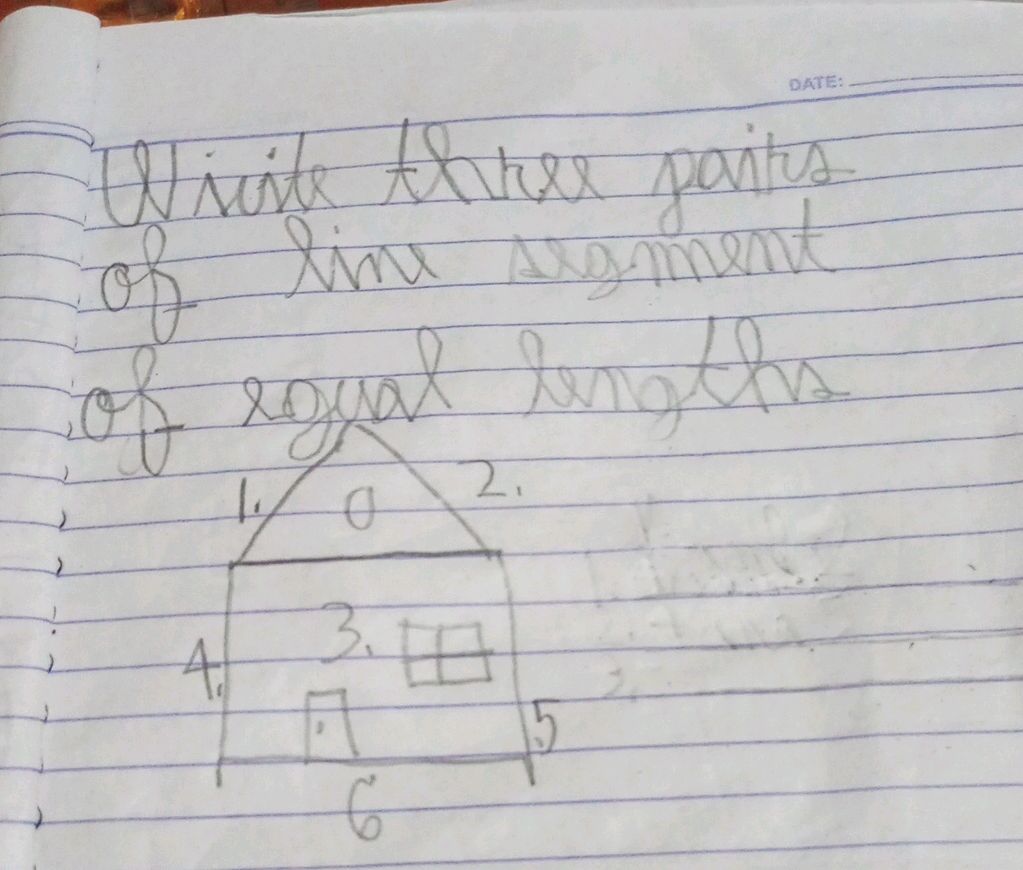 Write three pairs of line segment of equal | StudyX