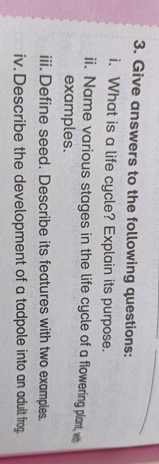 3. Give answers to the following questions: | StudyX
