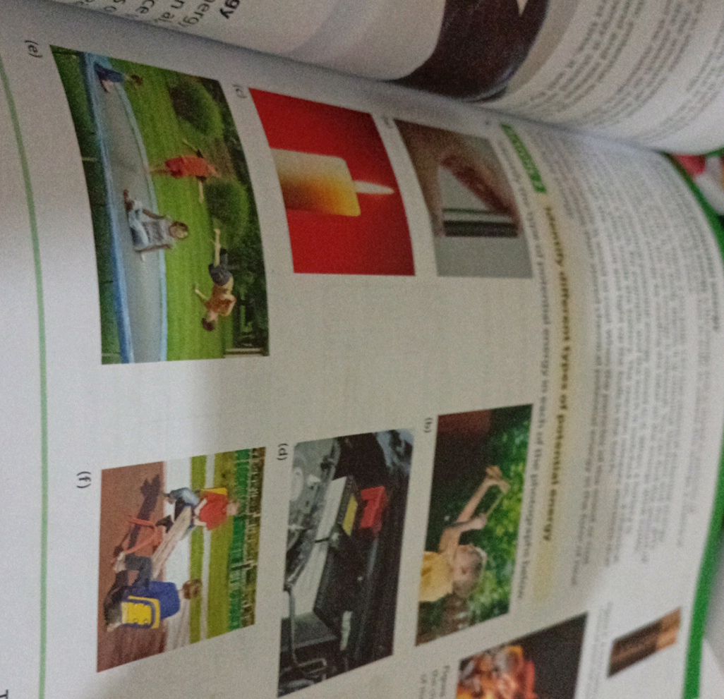 Identify different types of potential energy | StudyX