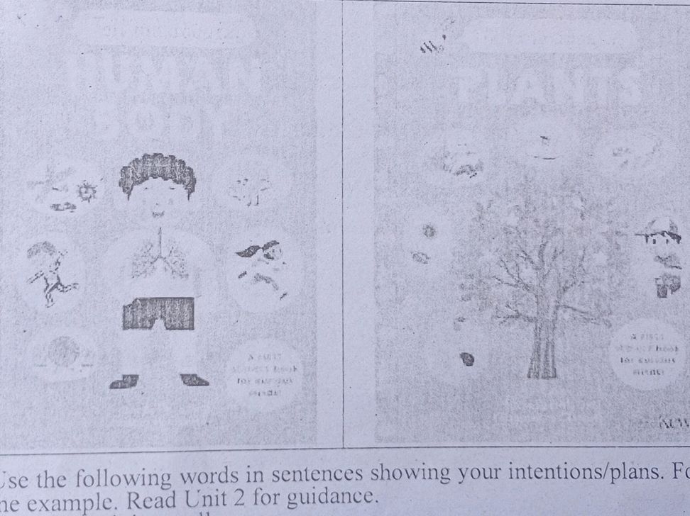 Use the following words in sentences showing | StudyX