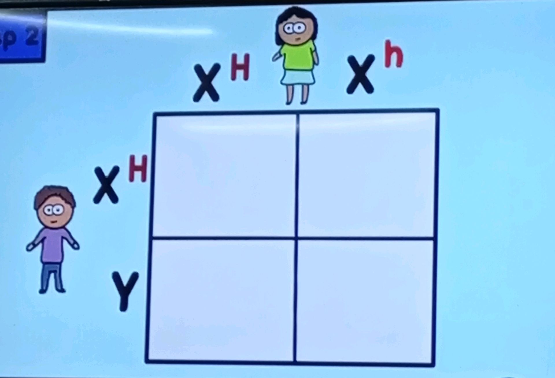 Punnett Square Genetics Example | StudyX