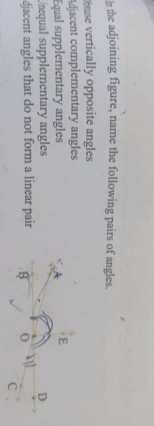 In the adjoining figure, name the following | StudyX