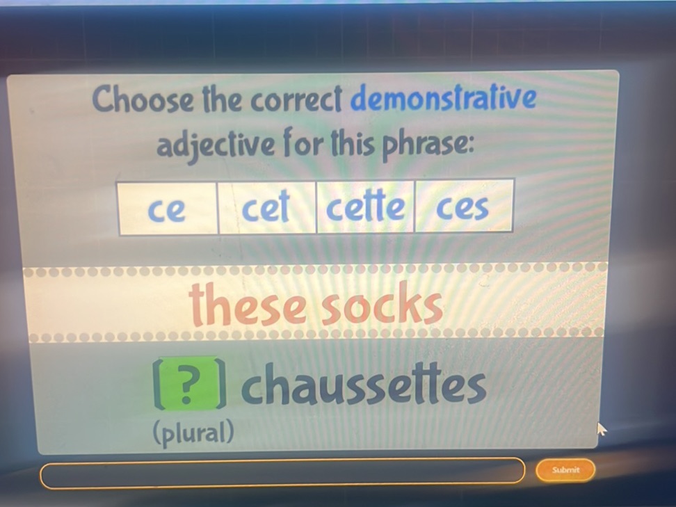 Choose the correct demonstrative adjective