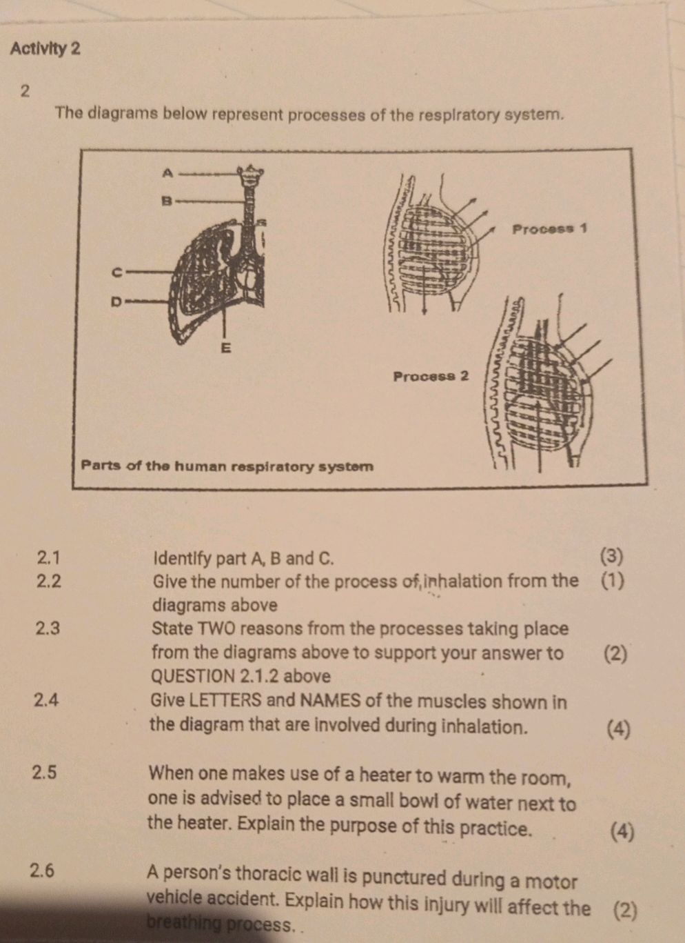 The diagrams below represent processes of | StudyX