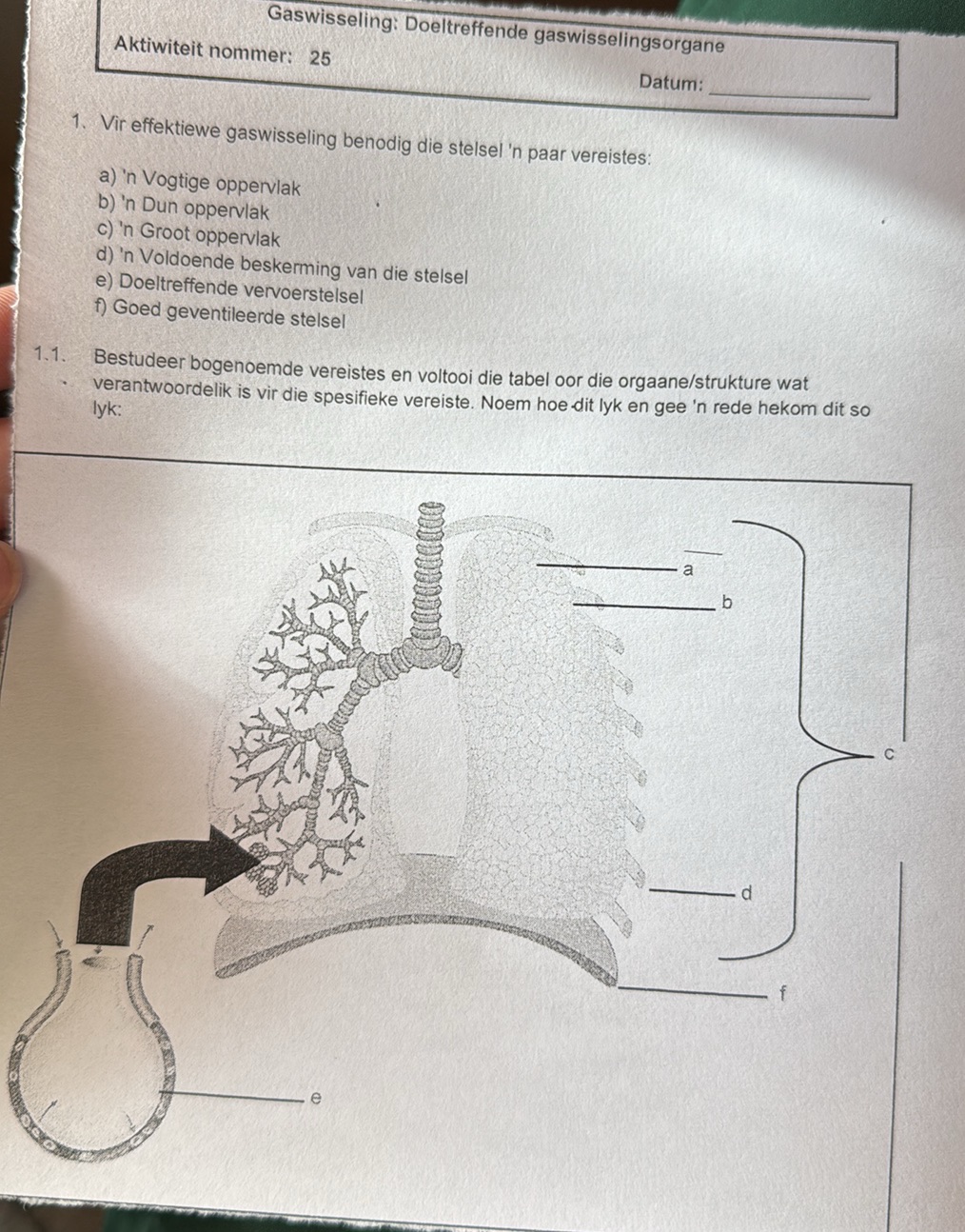 1. Vir effektiewe gaswisseling benodig die | StudyX