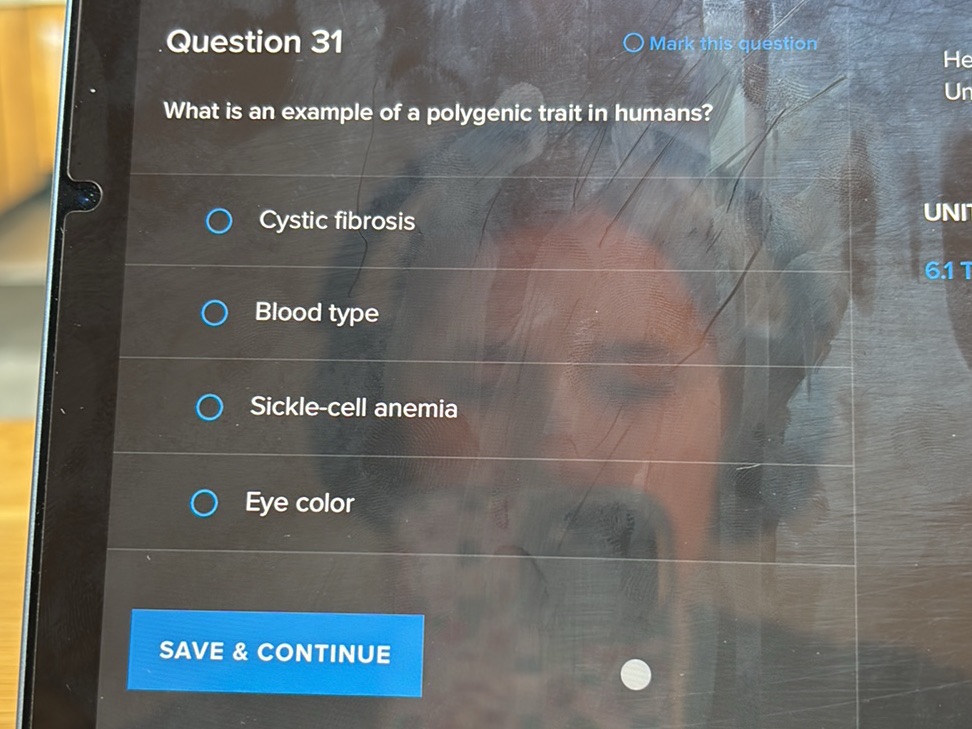 What is an example of a polygenic trait in | StudyX