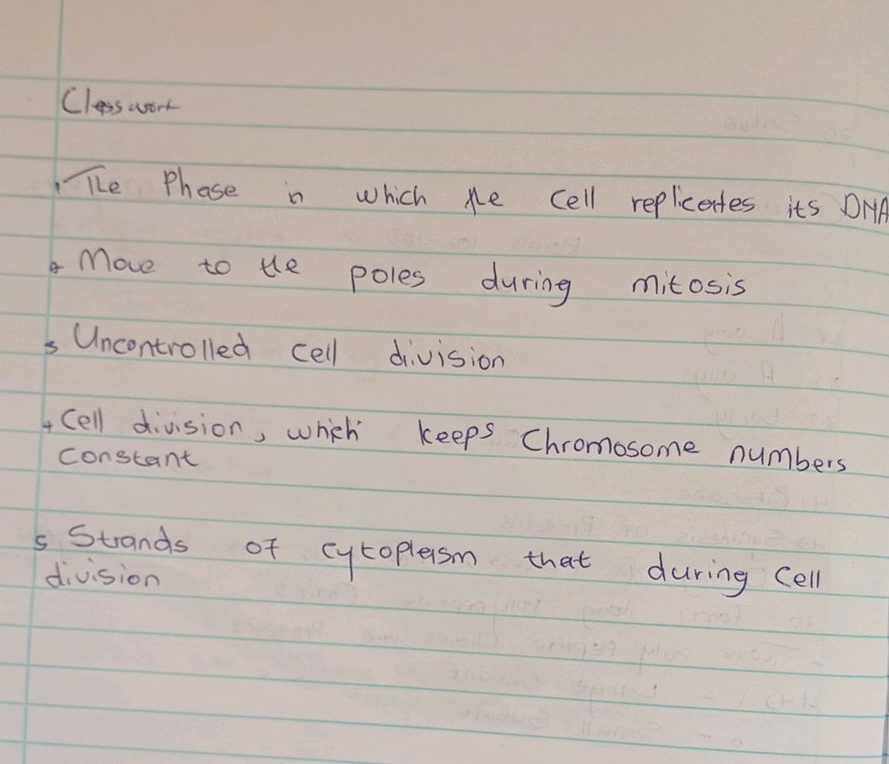 The Phase in which the cell replicates its | StudyX