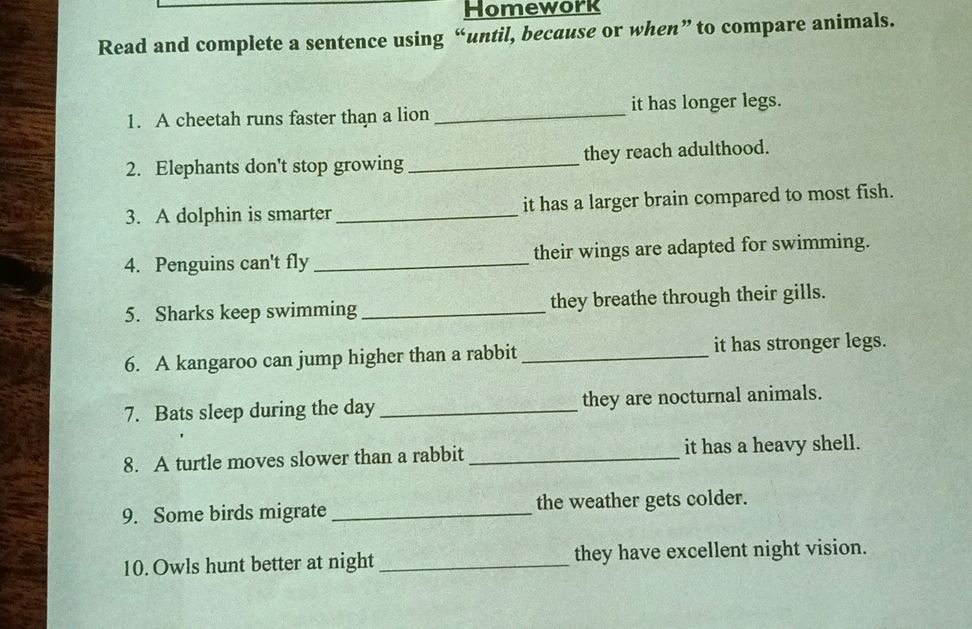 Read and complete a sentence using "until, | StudyX