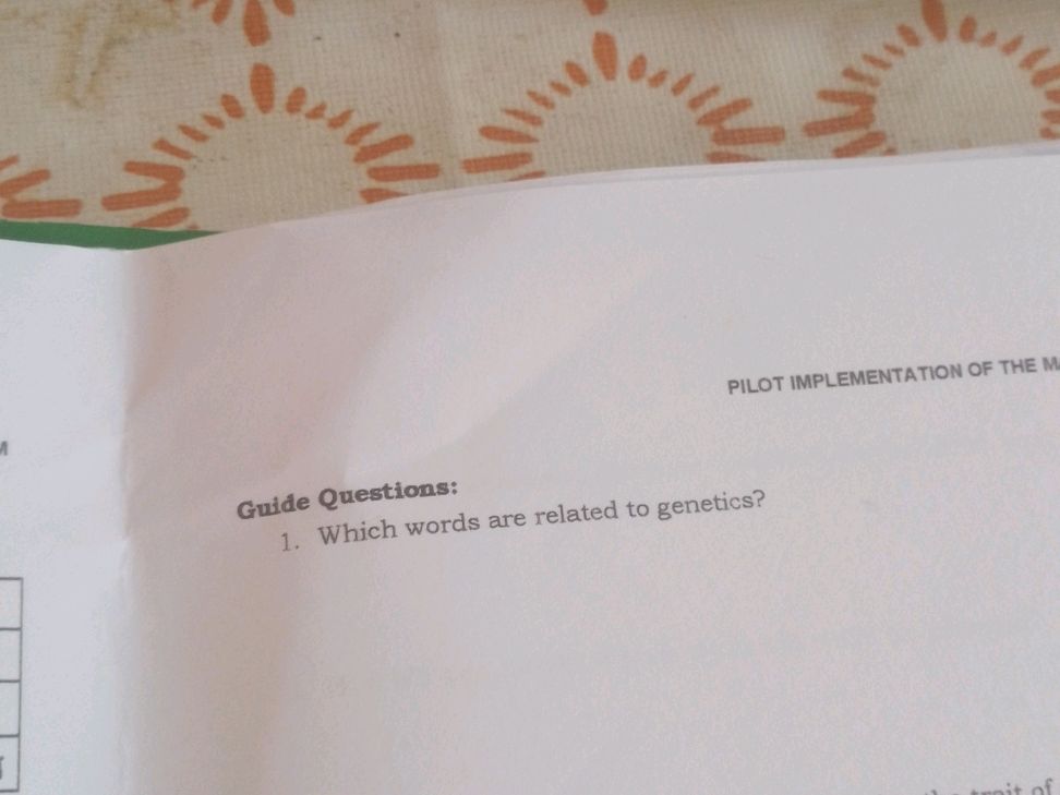 Guide Questions: 1. Which words are related | StudyX