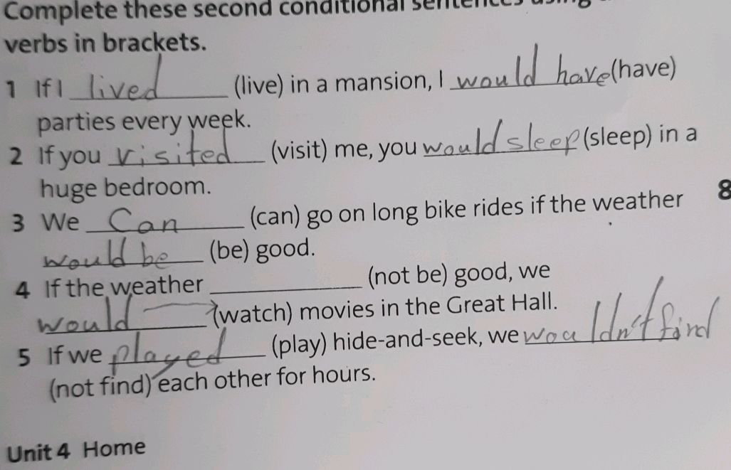 Complete these second conditional sentences | StudyX