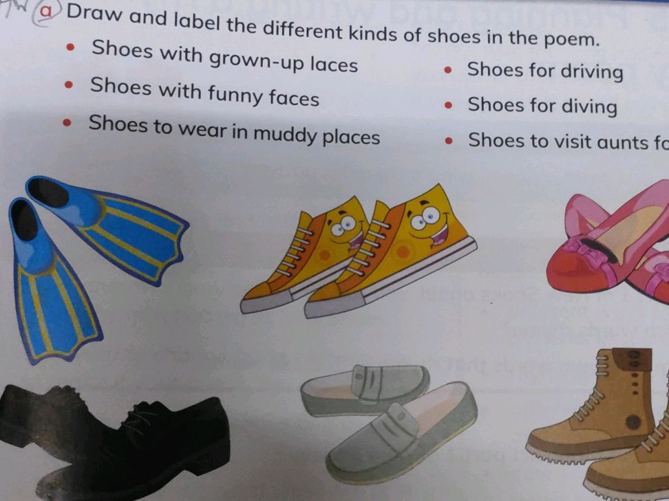 Draw and label the different kinds of shoes | StudyX