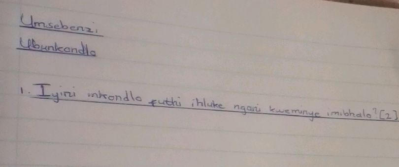 1. Iyini inkondlo futhi ihluke ngani | StudyX