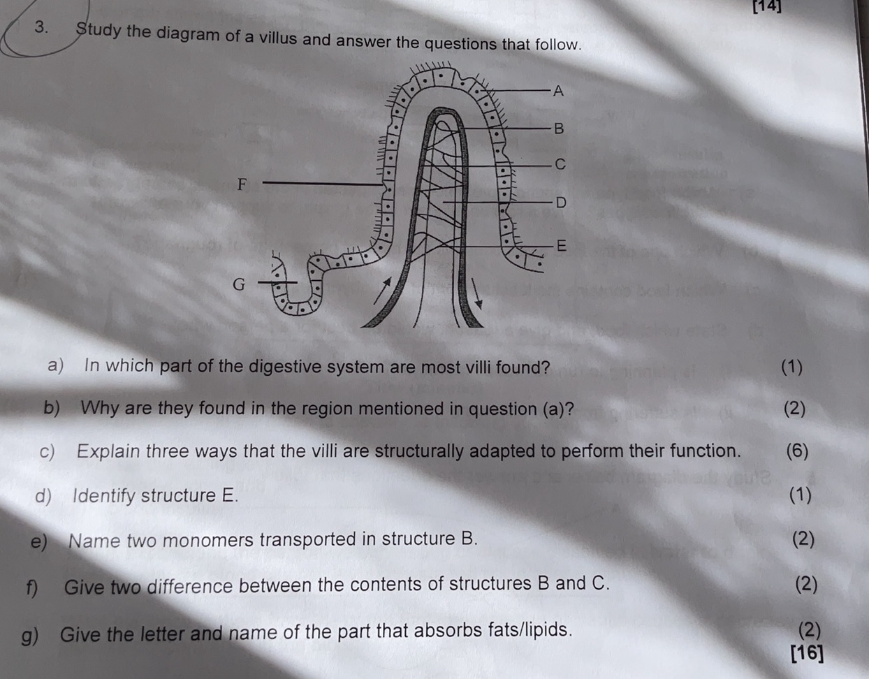 3. Study the diagram of a villus and answer | StudyX