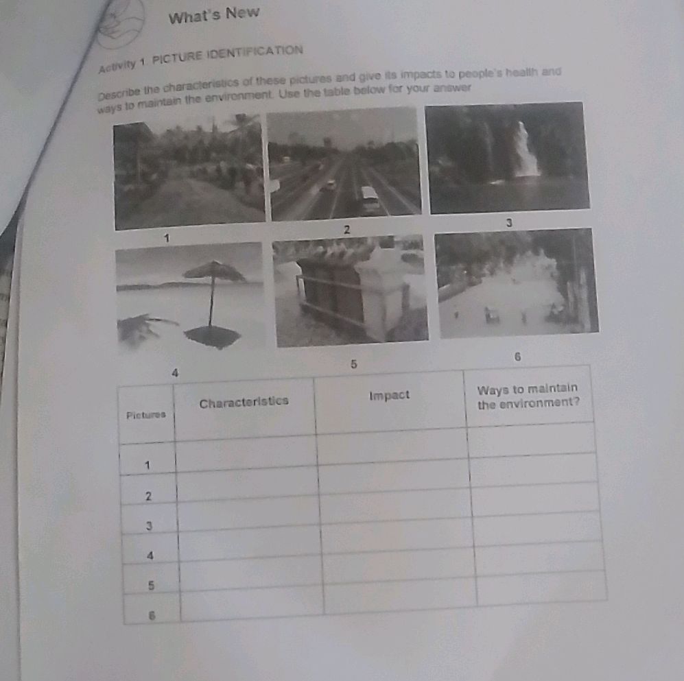 Activity 1. PICTURE IDENTIFICATION Describe | StudyX