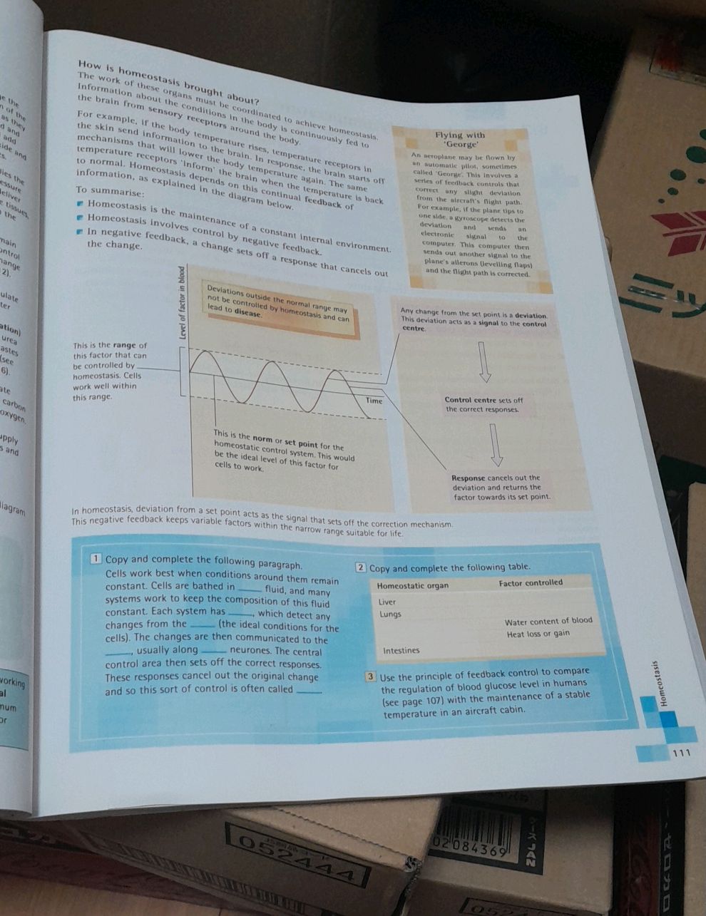 1 Copy and complete the following paragraph. | StudyX