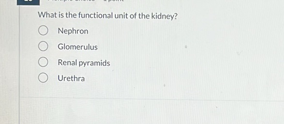 What is the functional unit of the kidney? | StudyX