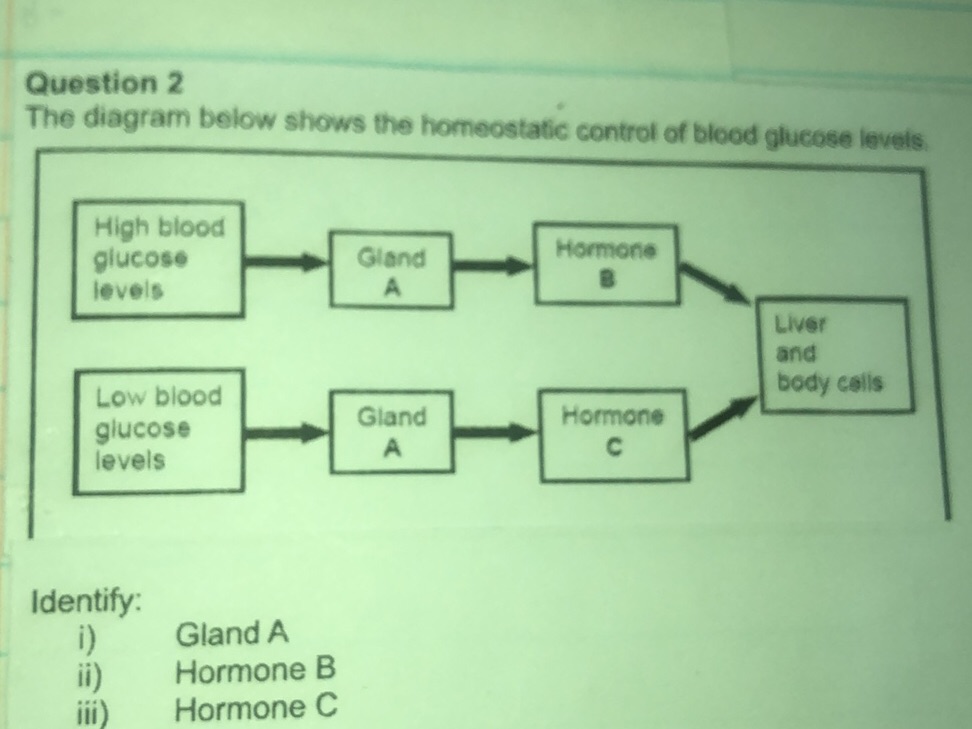 Question 2 The diagram below shows the | StudyX
