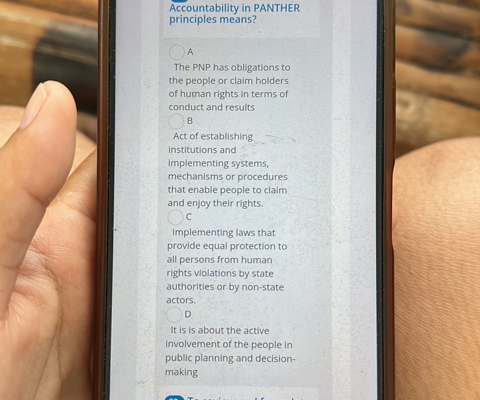 Accountability in PANTHER principles means? | StudyX