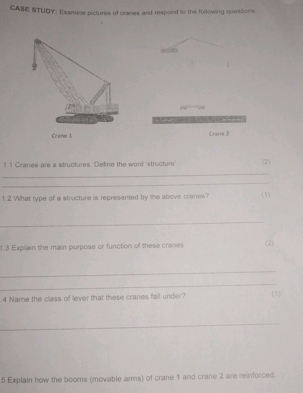 CASE STUDY: Examine pictures of cranes and | StudyX