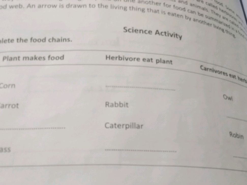 Complete the food chains. | Plant makes food