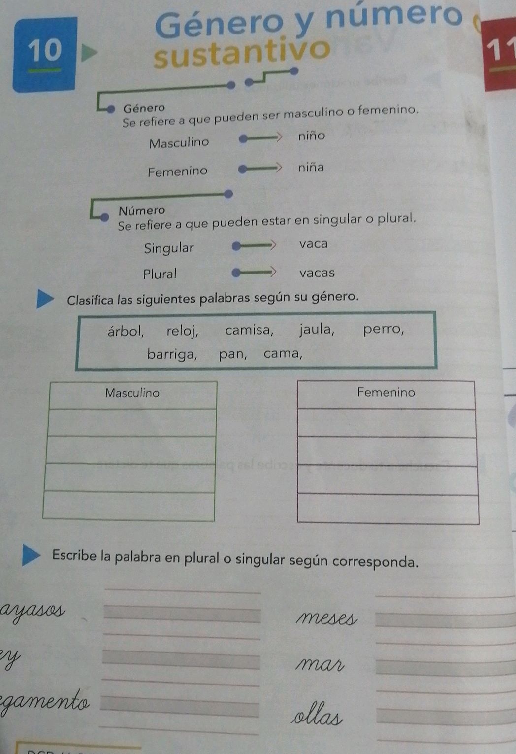 Clasifica las siguientes palabras según su | StudyX