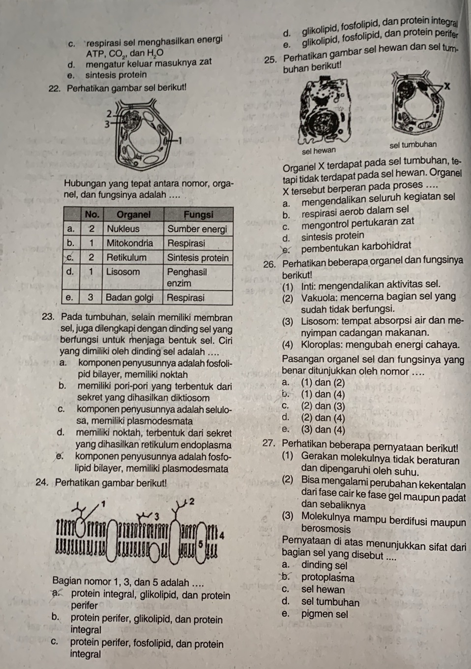 Perhatikan gambar sel berikut! Hubungan yang