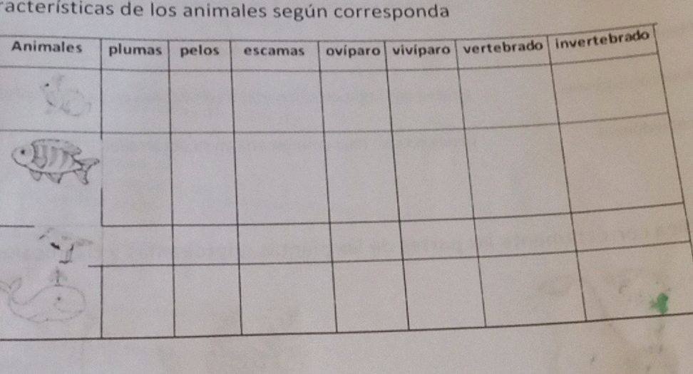 Caracteristicas de los animales según | StudyX