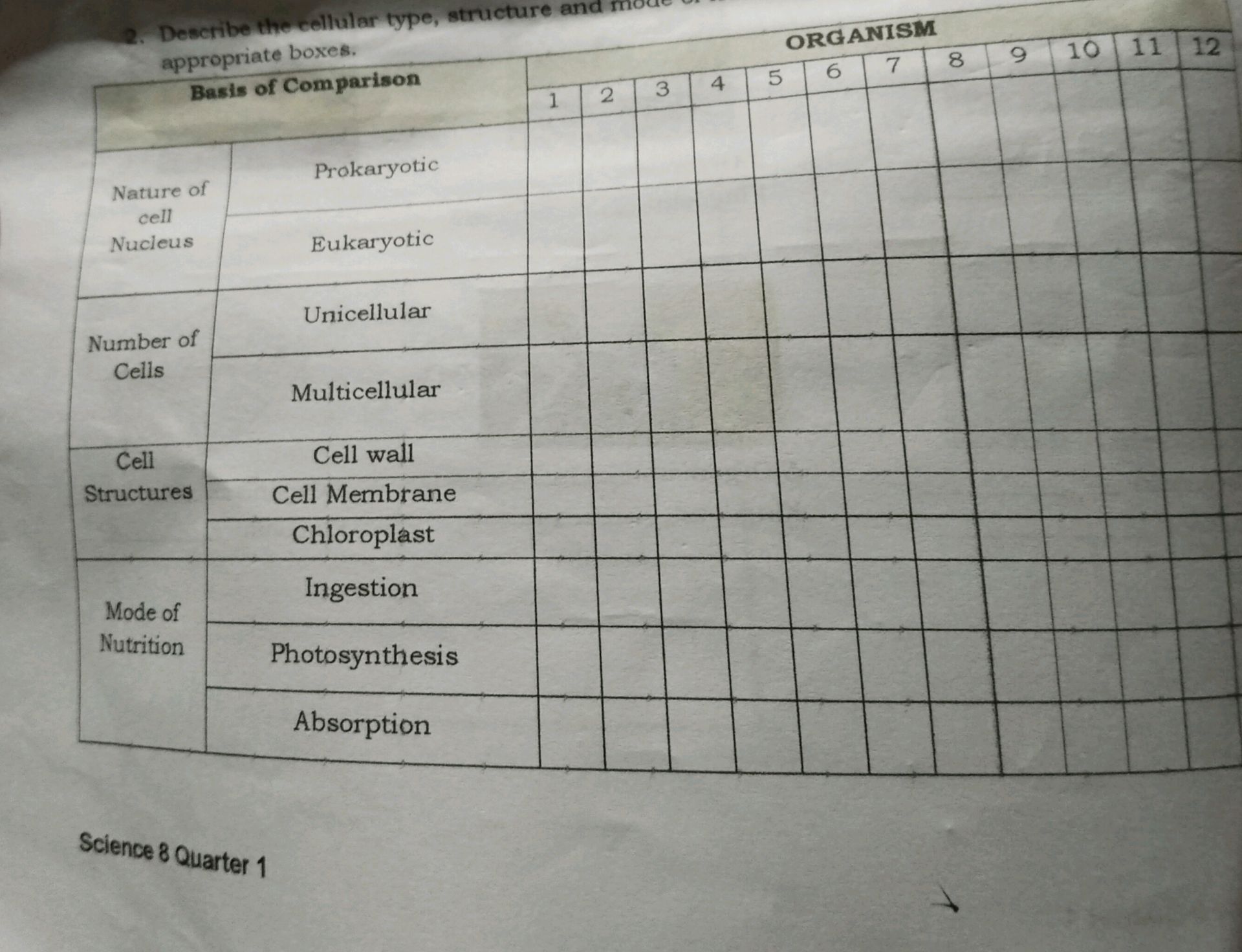 Describe the cellular type, structure and
