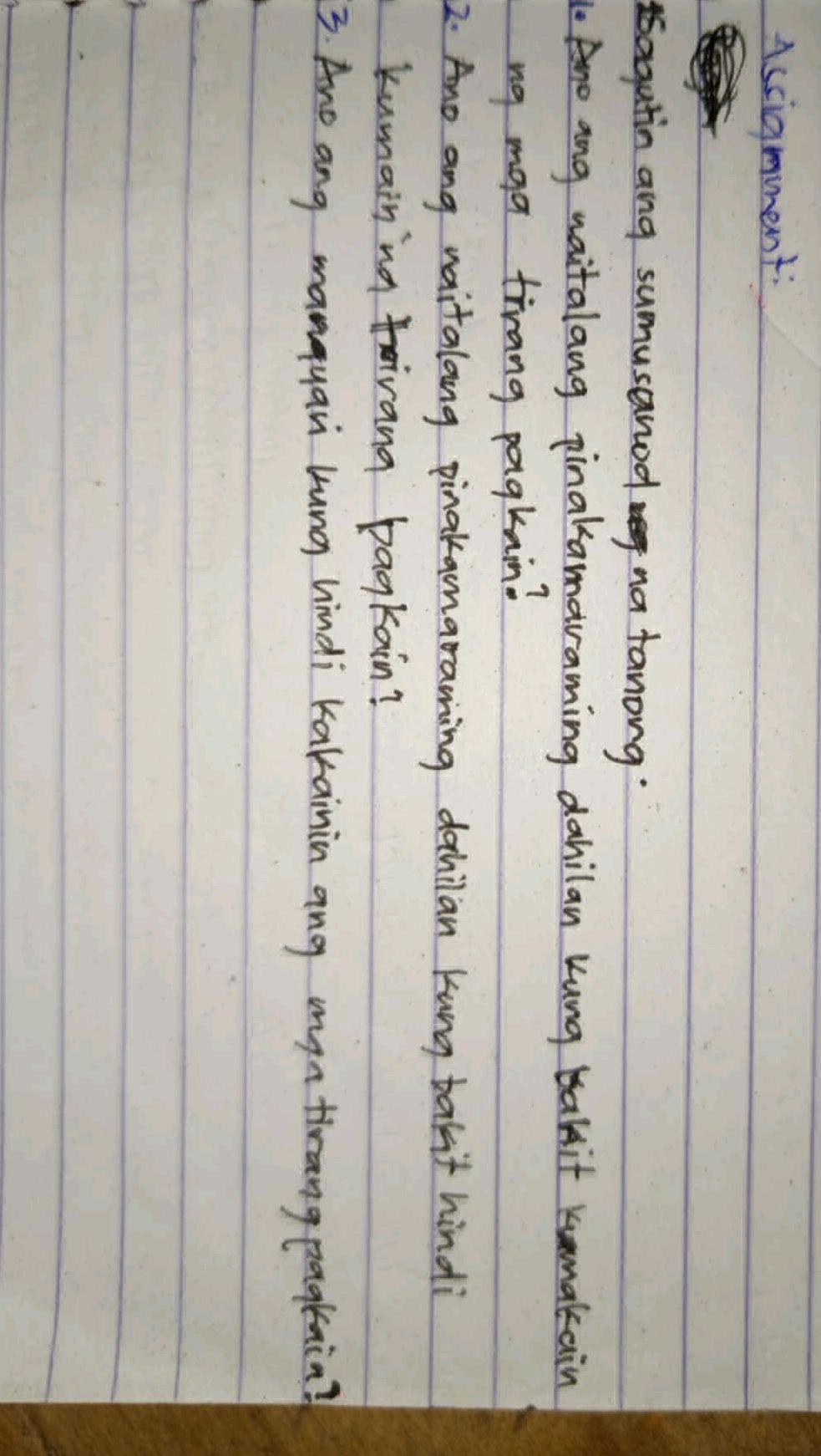 Assignment: Sagutin ang sumusunod na | StudyX