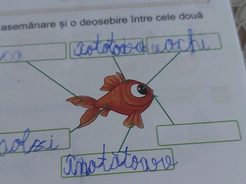 aseamanare si o deosebire intre cele doua [ | StudyX