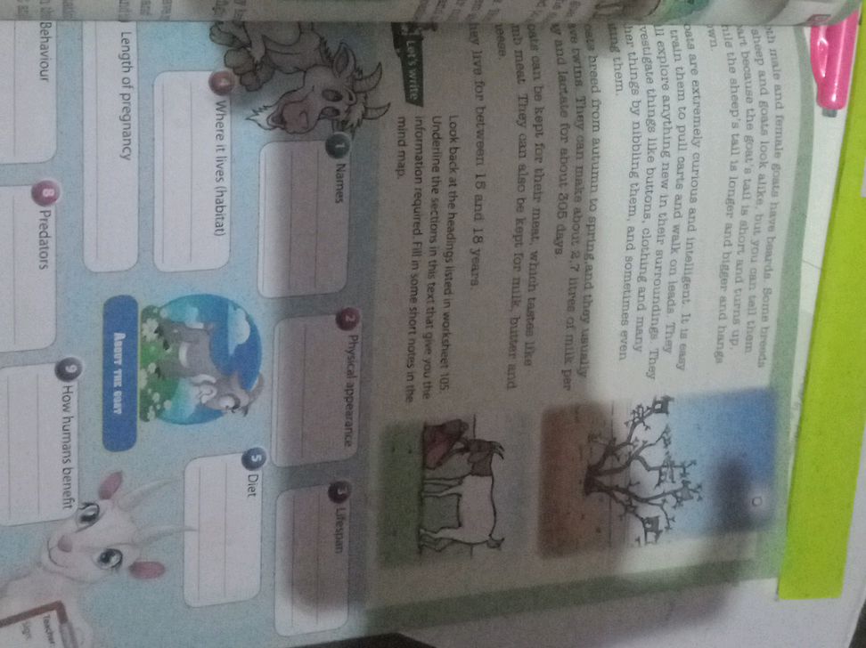 Let's write Look back at the headings | StudyX