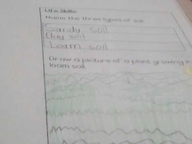 Name the three types of soil: Sandy soil