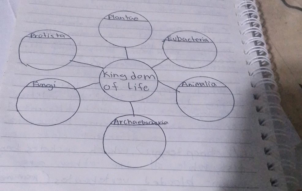 Kingdom of Life Protista Plantae Eubacteria