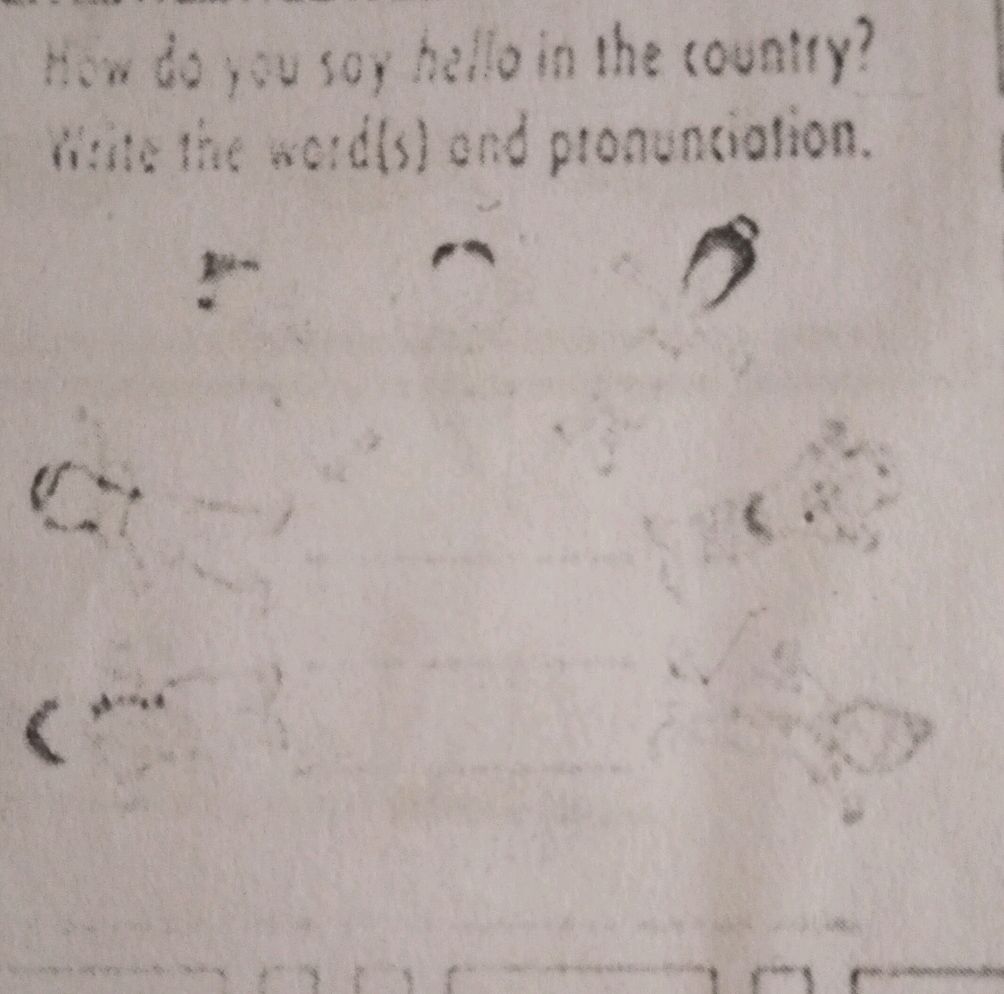 How do you say hello in the country? Write | StudyX