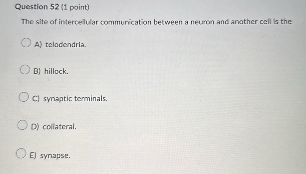 Question 52 (1 point) The site of