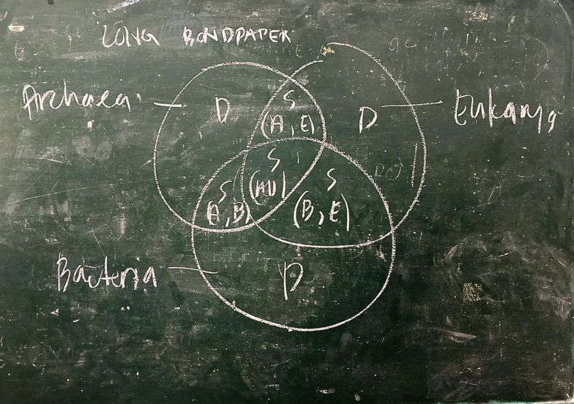 The image shows a Venn diagram comparing | StudyX