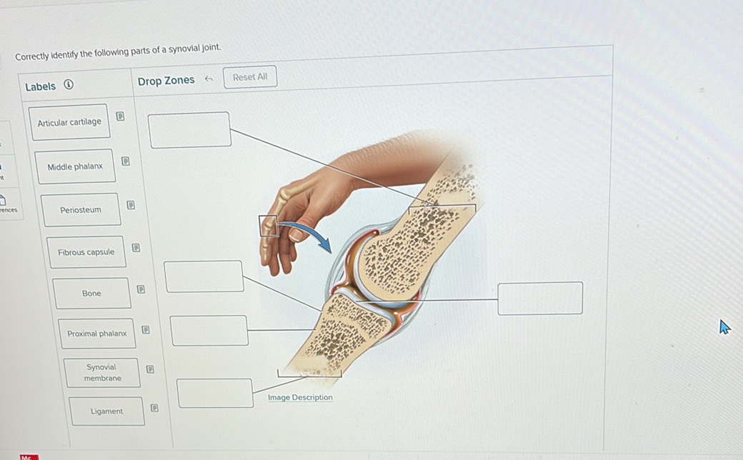 Correctly identify the following parts of a | StudyX