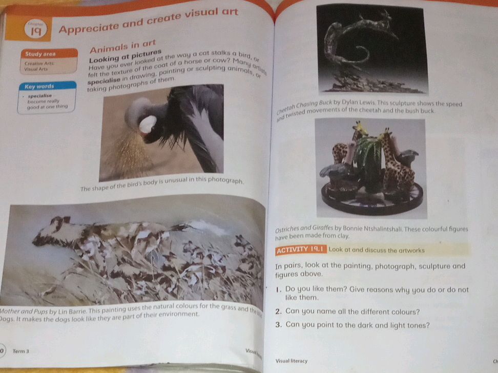 Chapter 19 Appreciate and create visual art | StudyX