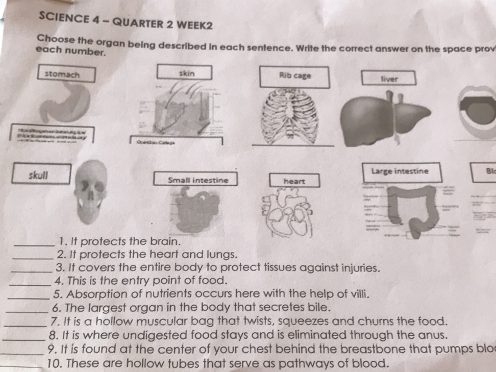 SCIENCE 4 - QUARTER 2 WEEK2 Choose the organ | StudyX