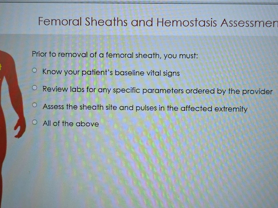 Femoral Sheaths and Hemostasis Assessment | StudyX
