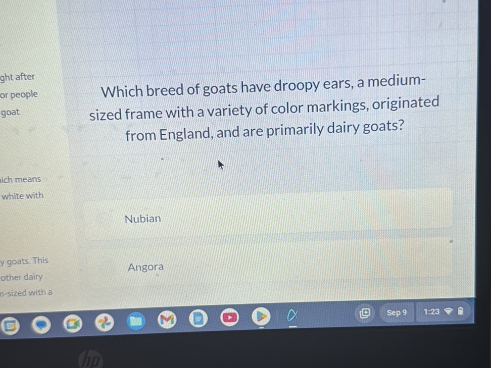 Which breed of goats have droopy ears, a | StudyX