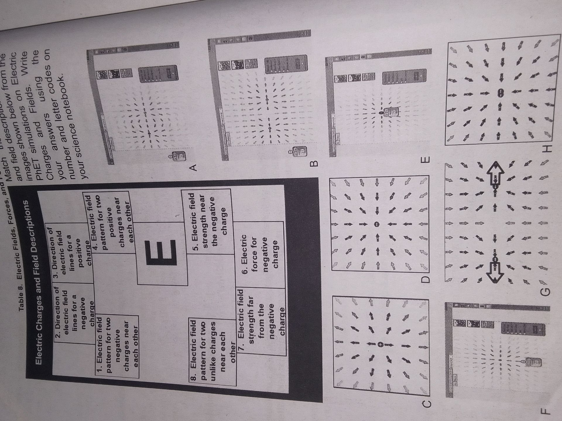 Table 8. Electric Fields, Forces, and | StudyX