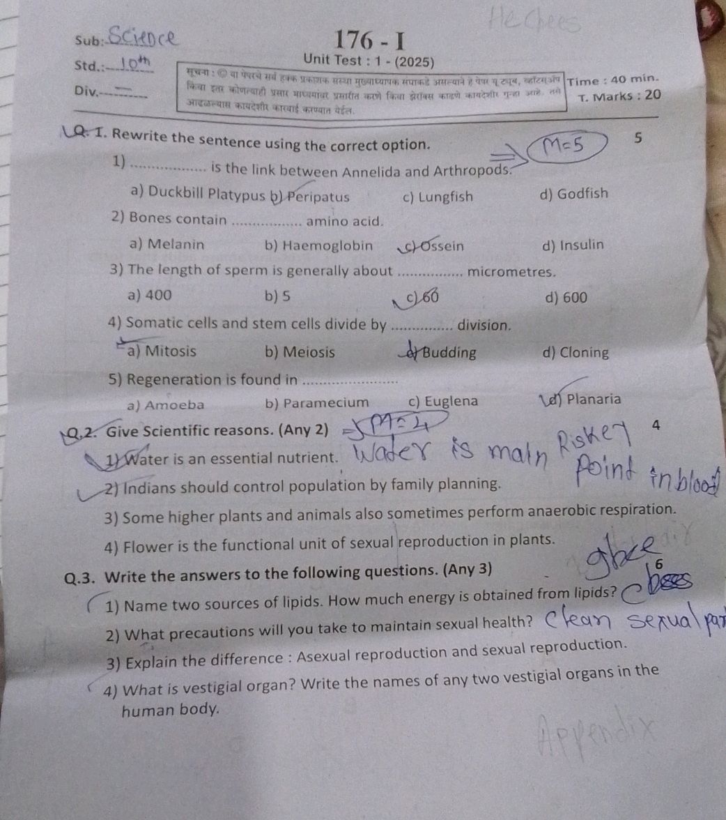 I. Rewrite the sentence using the correct | StudyX