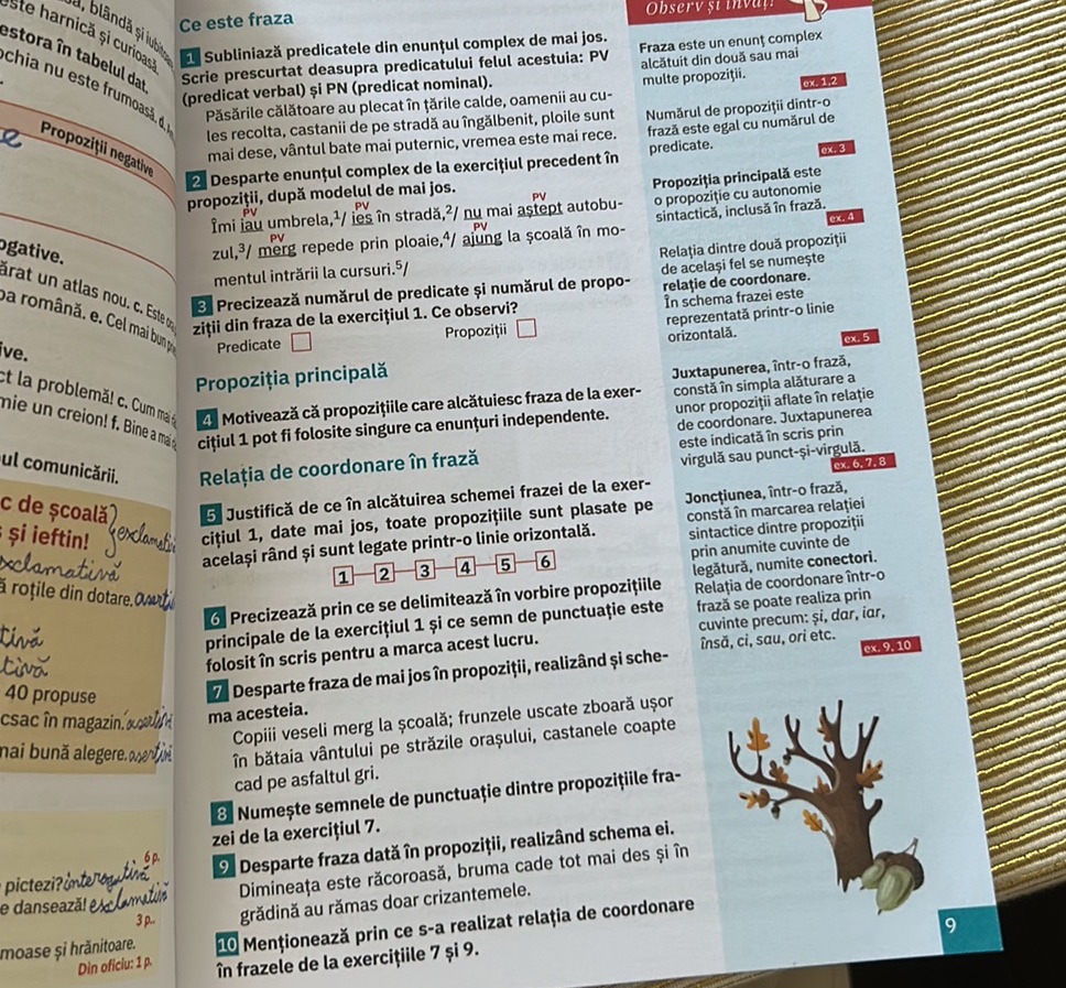 Ce este fraza 1 Subliniază predicatele din | StudyX